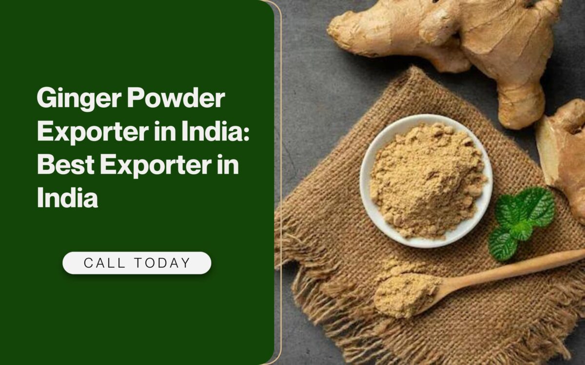 Top Dehydrated Ginger Powder Exporter in India | Premium Quality